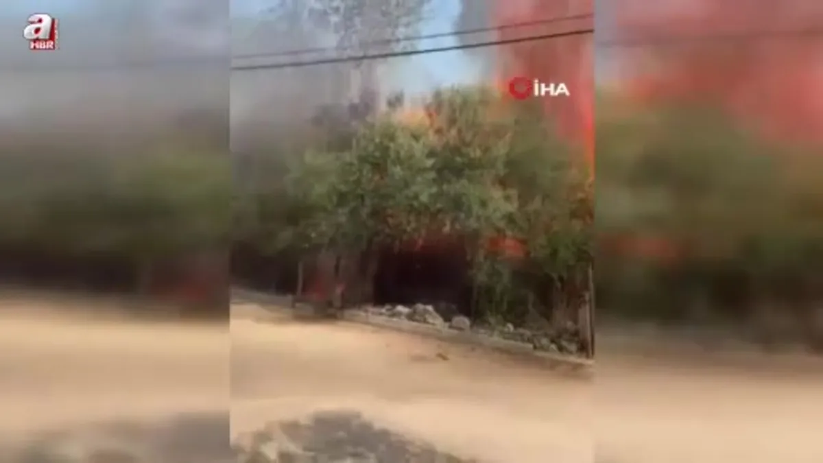 Antalya’da mangal keyfi kabusa dönüyordu