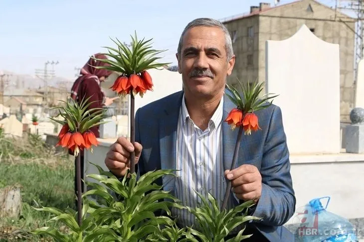 Senede sadece 1 ay yaşıyorlar! Görüntüsü herkesi büyüledi Senede sadece 1 ay yaşıyorlar! Görüntüsü herkesi büyüledi