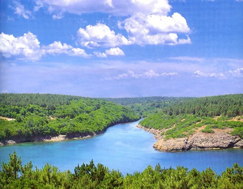 Güzelliği görenleri hayrete düşürüyor! Hamsilos Koyu dünyada tek