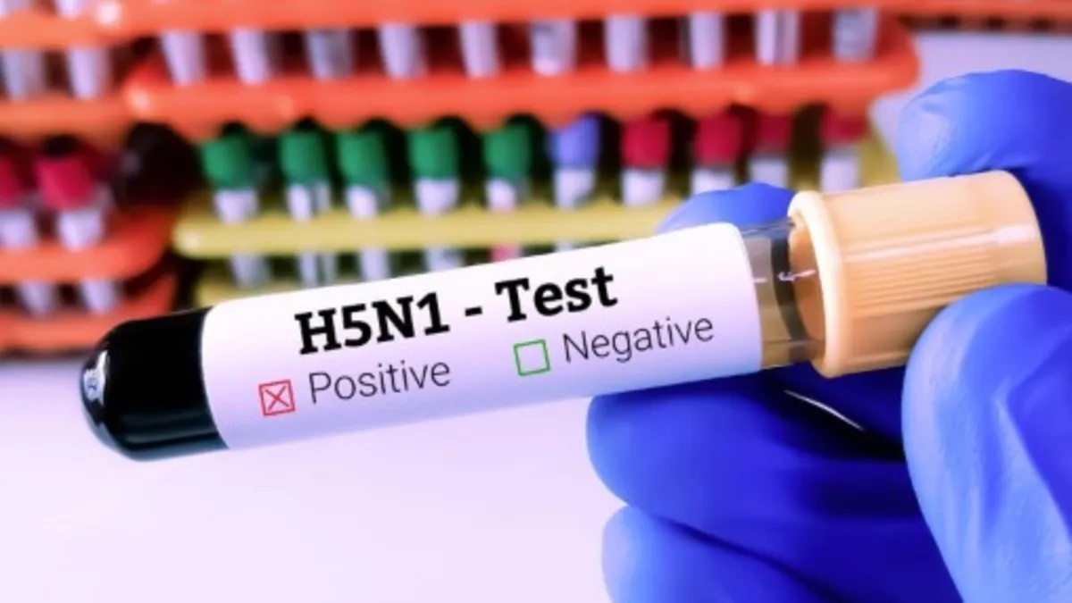 Meksika’da ilk kez bir insanda H5N1 virüsü