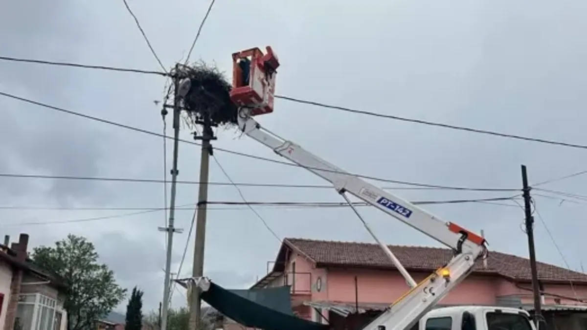 Bozulan leylek yuvası düzeltildi